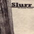 Slurr – So Easily Fooled | MKE Punk