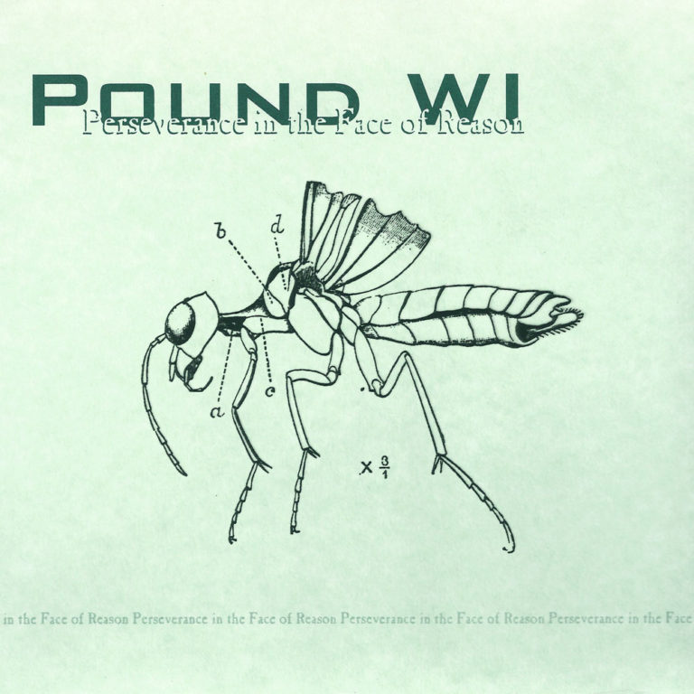 Pound WI – Perseverance in the Face of Reason 7″ | MKE Punk